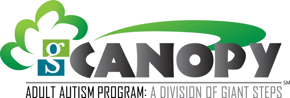 Canopy Adult Program | Giant Steps Illinois Inc.